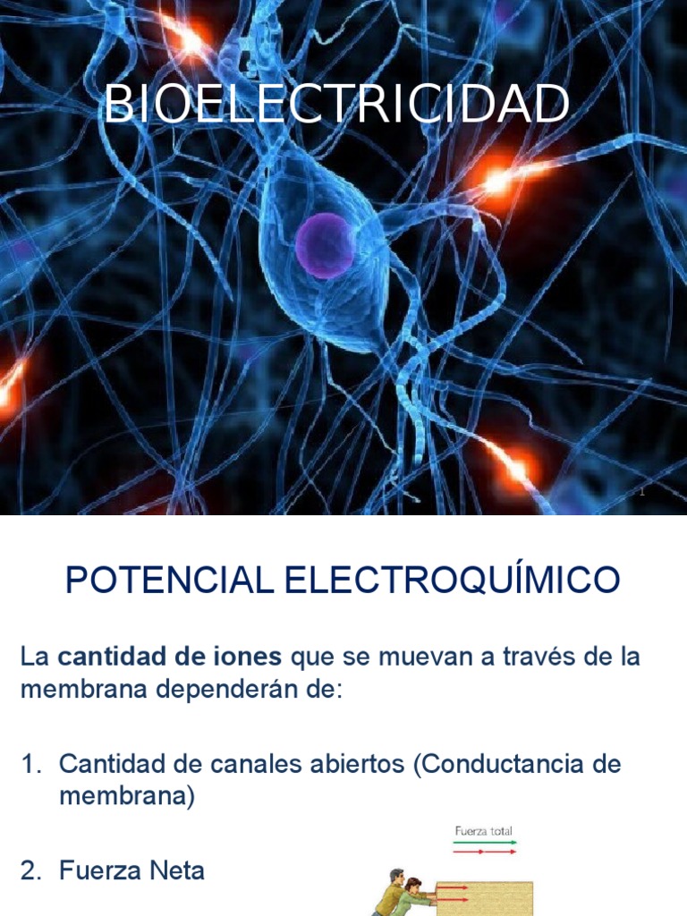 Bioelectricidad | Potencial de acción | Sistema nervioso
