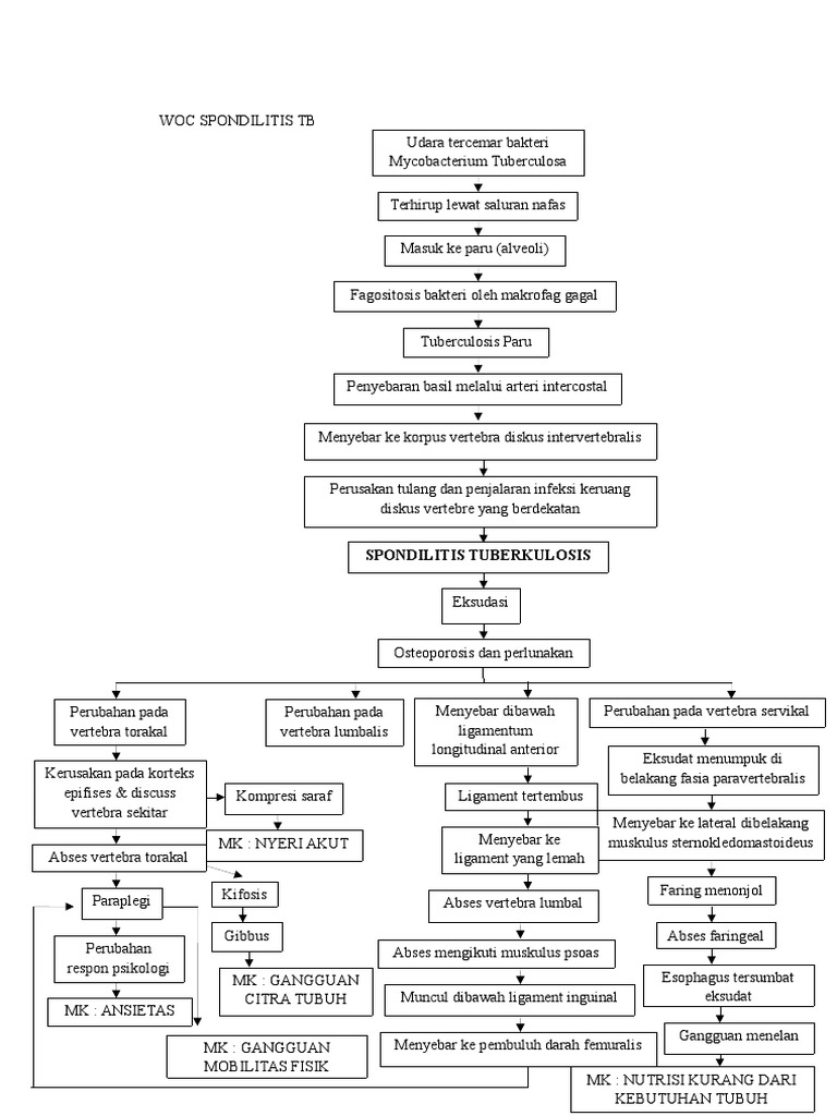 Woc Spondilitis TB | PDF