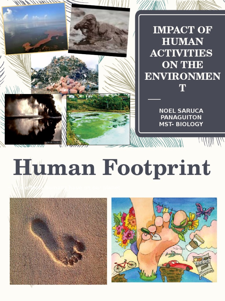 Impact of Human Activities | Human Impact On The Environment | Pesticide