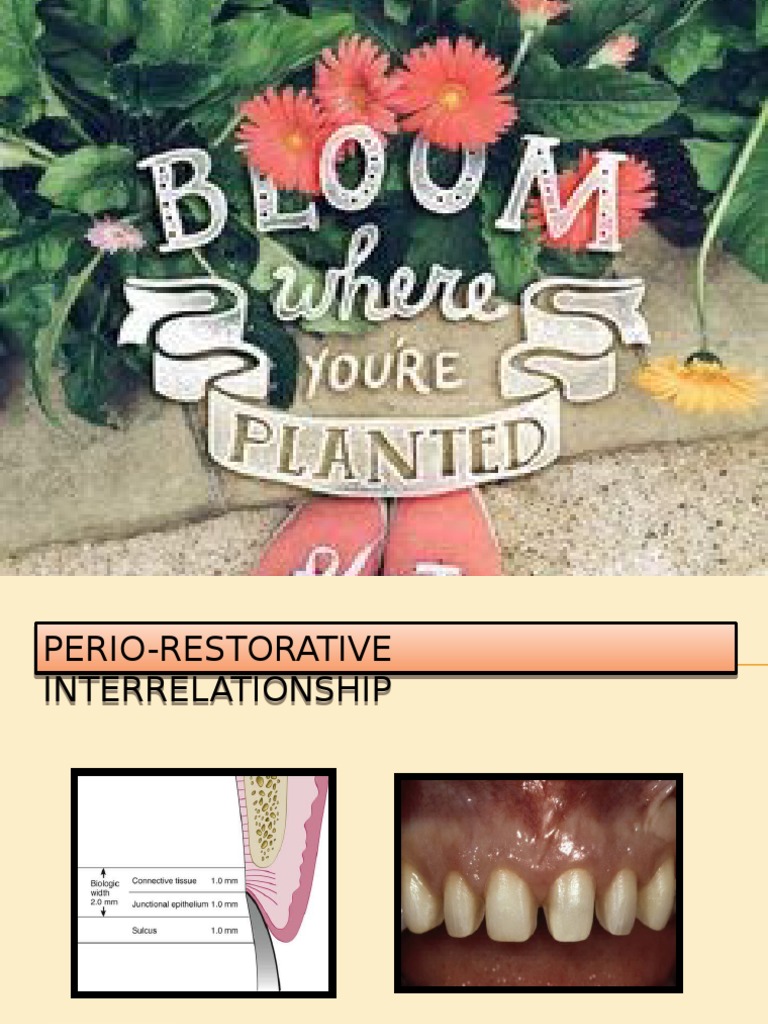 Perio Restorative | PDF | Periodontology | Human Tooth