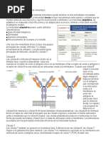 Uniones Tipo Gap en El SI | PDF | Sistema inmune | Antígeno