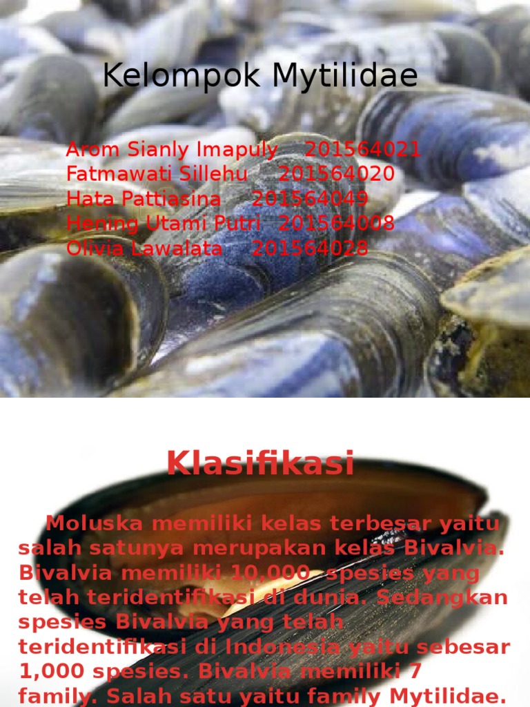 Biologi Mytilidae untuk Mahasiswa | PDF | Sains & Matematika