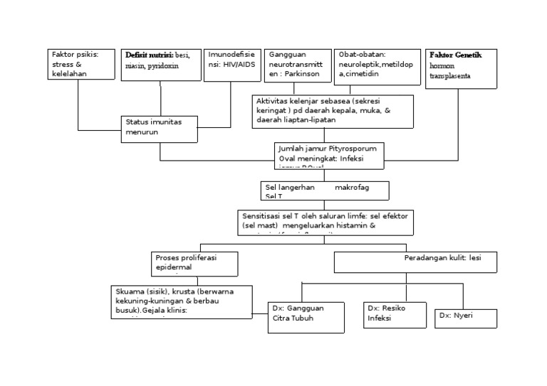 Pathway Dermatitis Seboroik | PDF