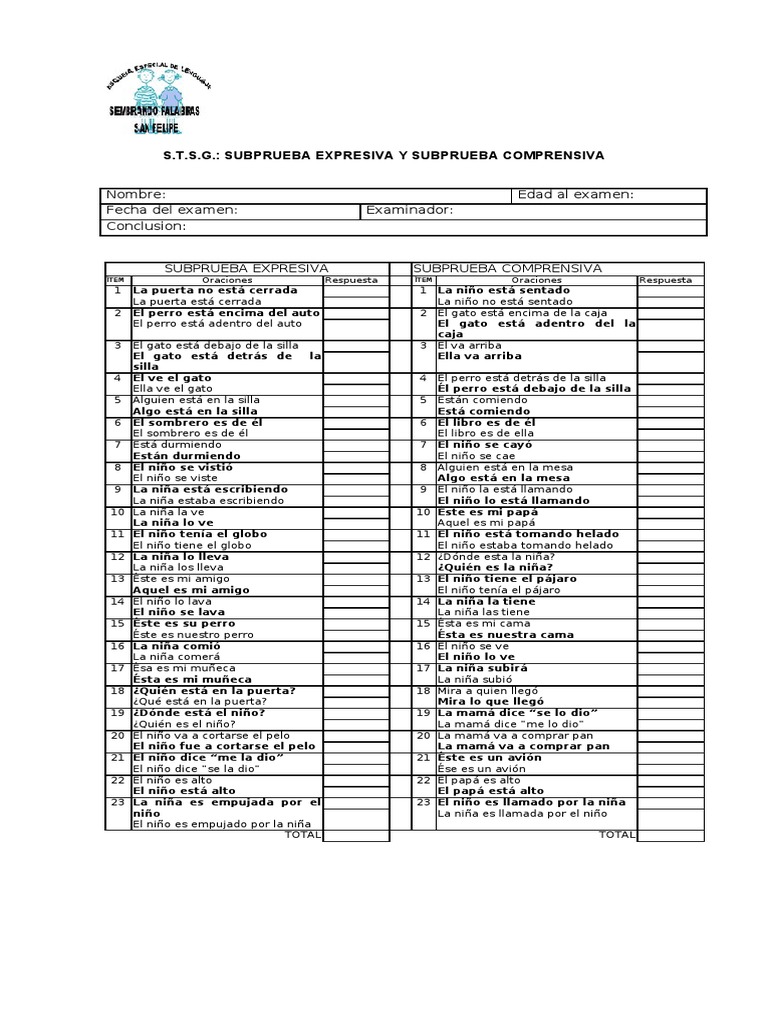 STSG Protocolo 1 Hoja | PDF