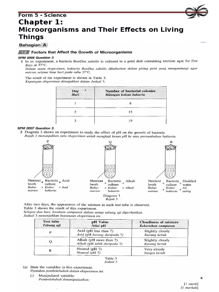 Microorganisms and Their Effects on Living Things: An Introduction to ...