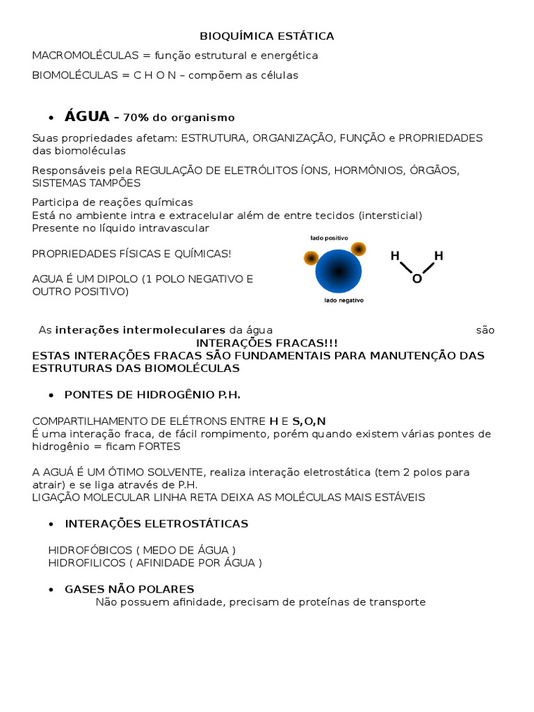 Bioquímica Estática P1 | PDF | Enzima | Aminoácido