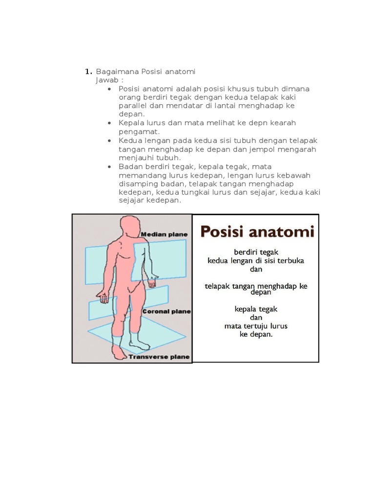 Terminologi Anatomi Dasar | PDF