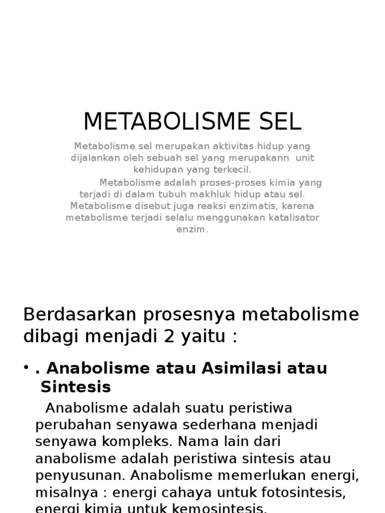 Metabolisme Sel | PDF