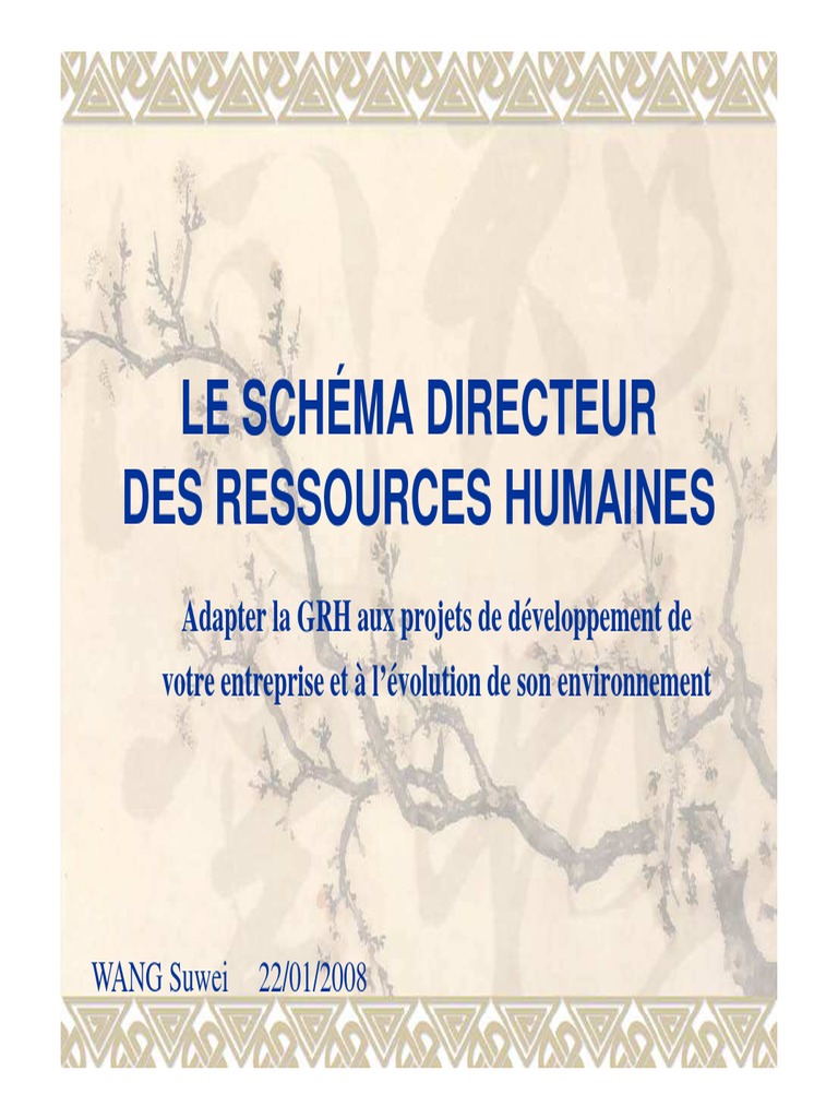 Schéma directeur des ressources humaines | PDF | Gestion des ressources ...