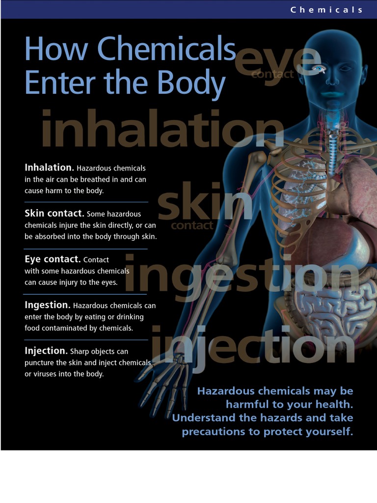 How Chemicals Enter The Body: Inhalation | PDF | Self-Improvement
