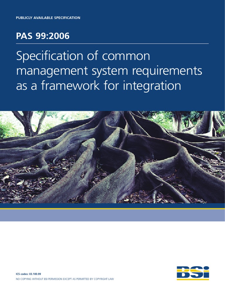 Ims Pas 99 2006 | Download Free PDF | Iso 9000 | Audit