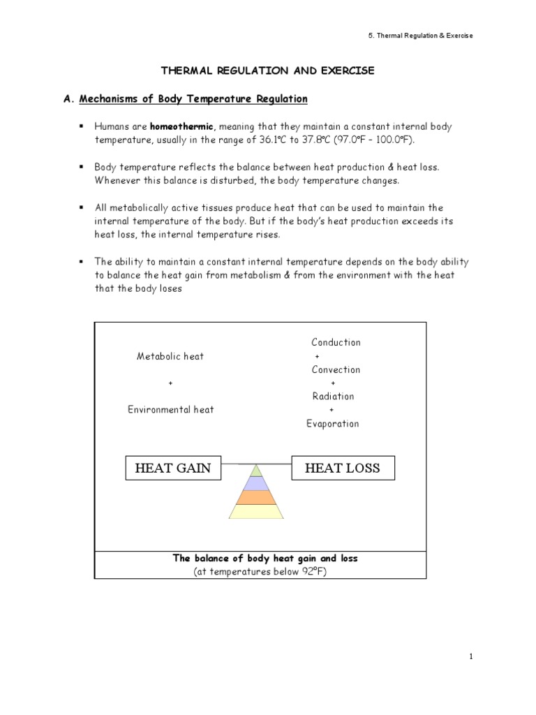 Thermal Regulation and Exercise | PDF | Thermoregulation | Hyperthermia