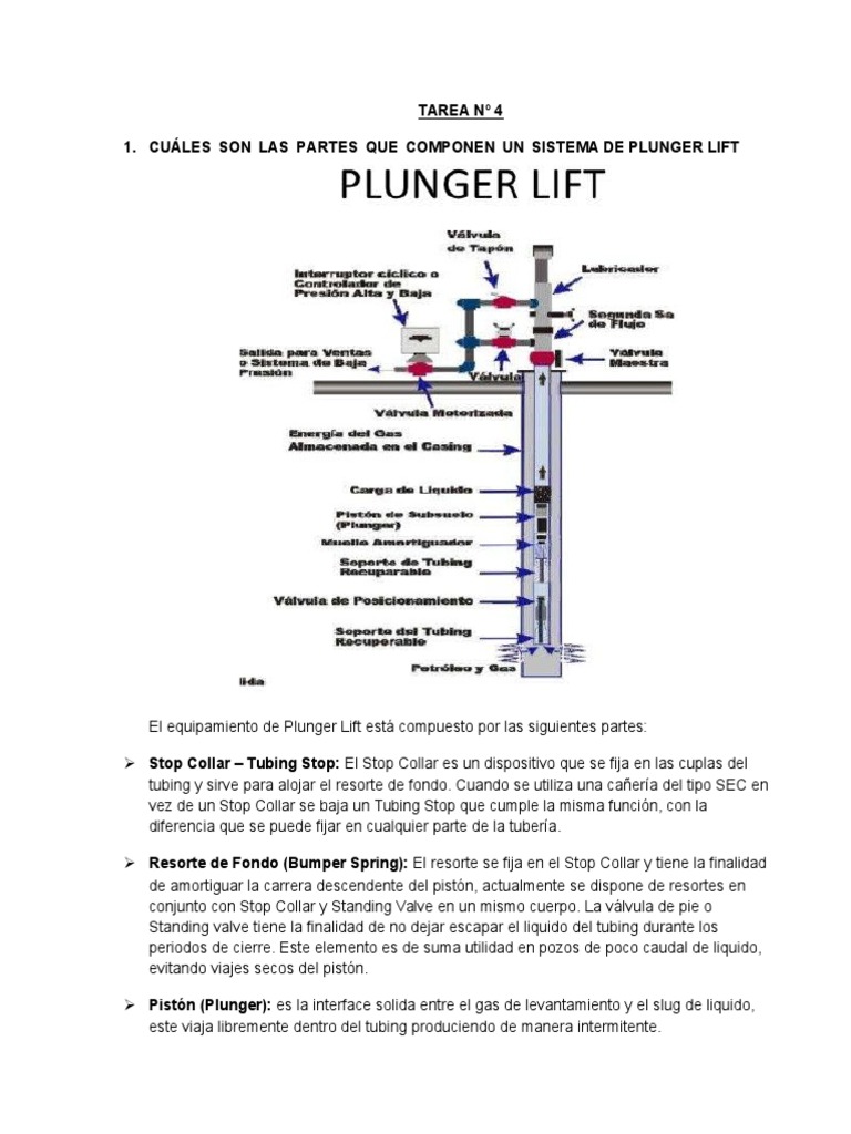 Tarea 4 Pgp 222 Plunger | Bomba | Gases
