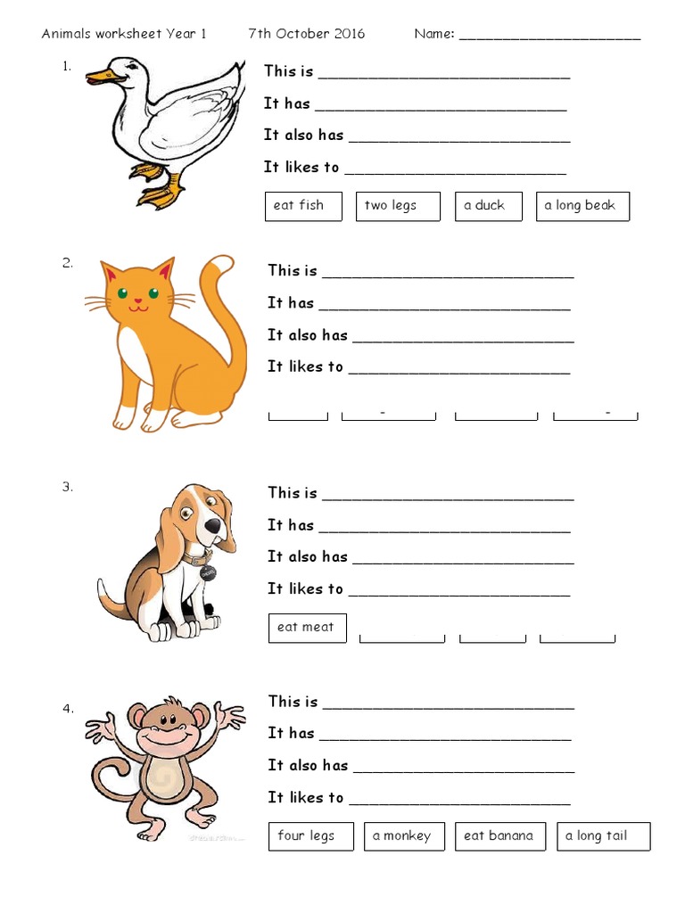 Animals Worksheet Year 1 7th October 2016 Name: - 1 | PDF