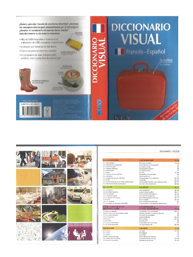 Diccionario Visual | PDF