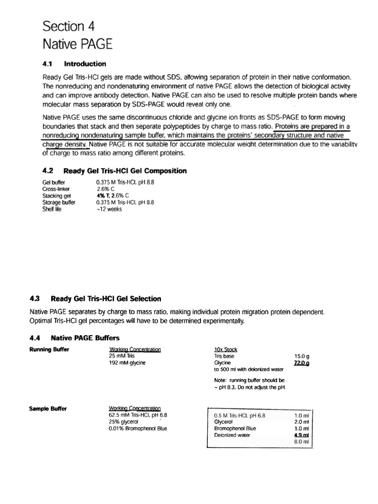 Native PAGE | PDF | Gel Electrophoresis | Polyacrylamide Gel ...