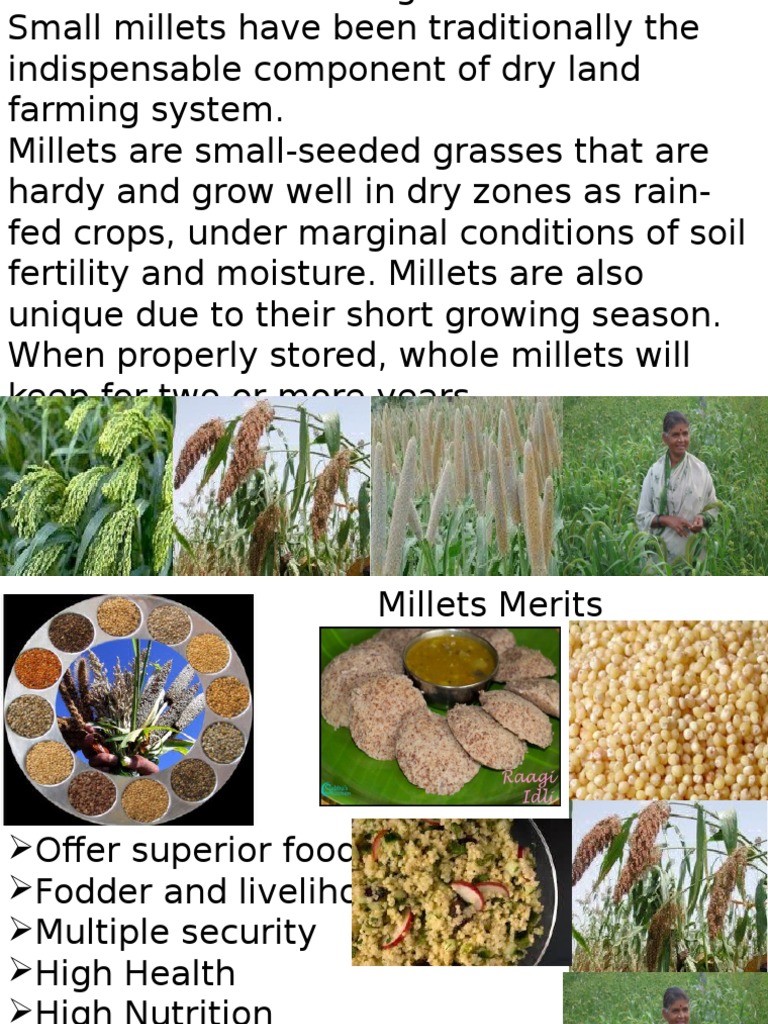 The Health, Nutritional, and Agricultural Benefits of Traditional Dry ...