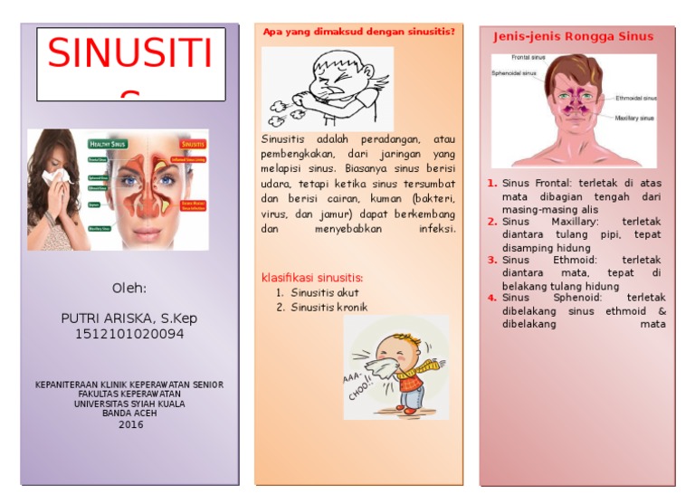 LEAFLET Sinusitis | PDF