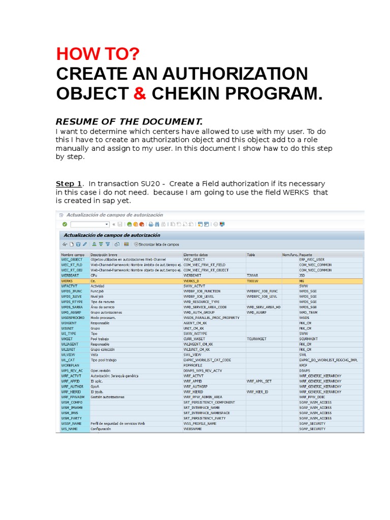 Create Authorization Object in SAP ABAP | PDF | Finance & Money Management