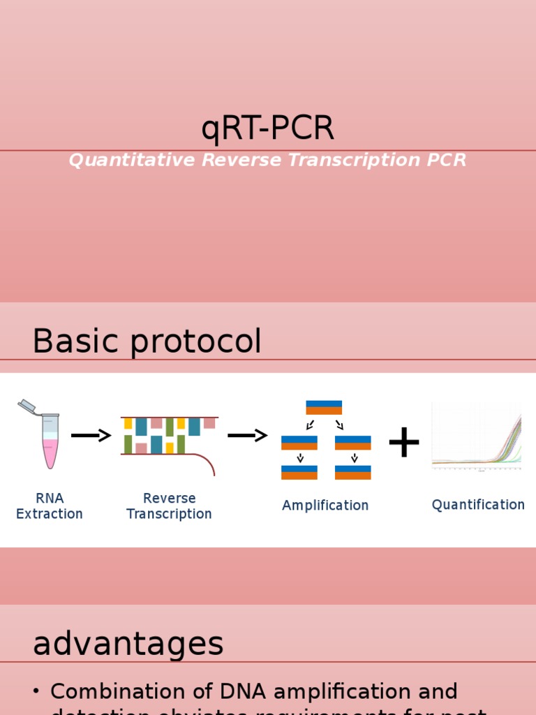 QRT-PCR: Quantitative Reverse Transcription PCR | PDF