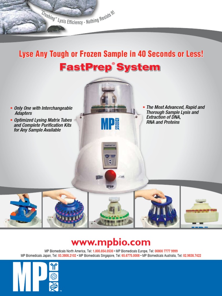 FastPrep24 Information | PDF | Lysis | Gel Electrophoresis
