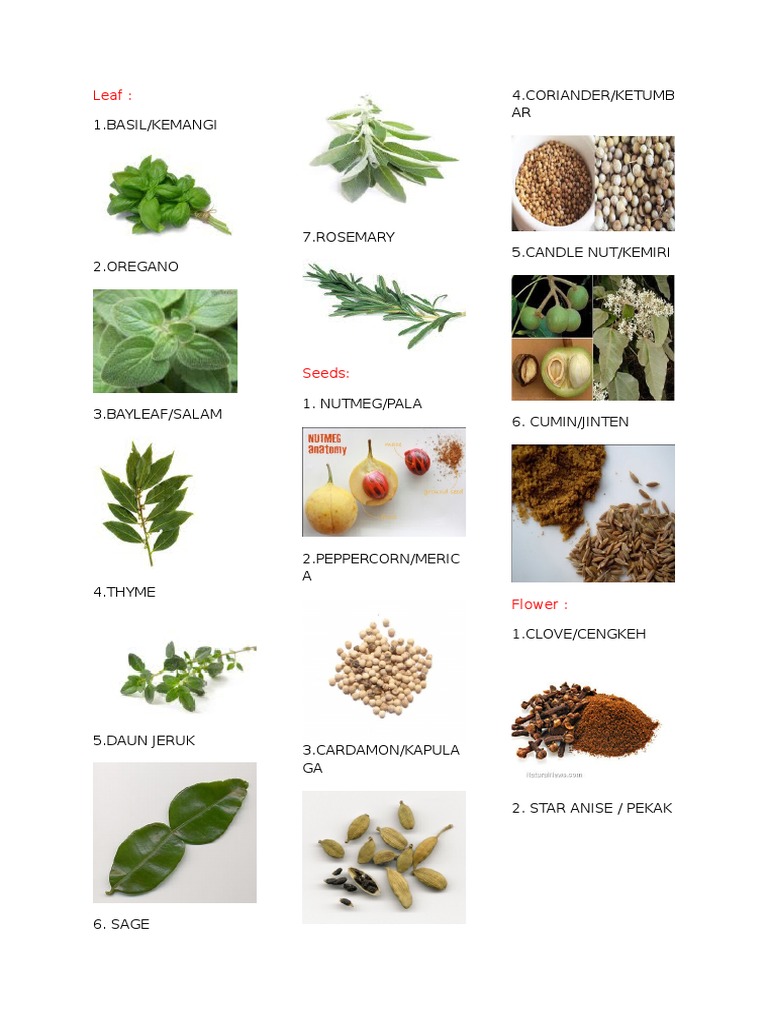 Herb and Spice Names in Various Languages | PDF