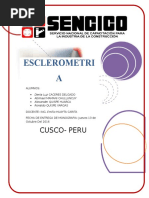 Informe Esclerometro | PDF