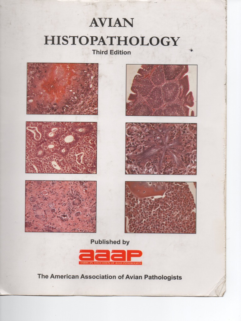 Binder1 Avian Histopathology 3ed. | PDF
