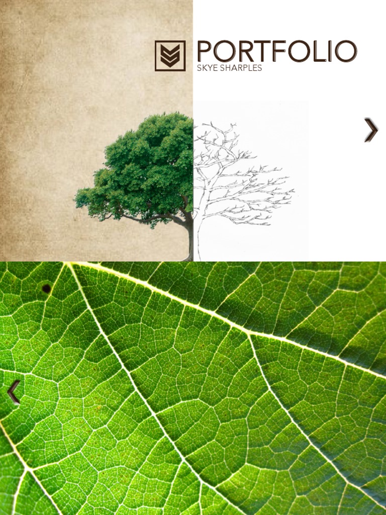 Interactive Portfolio | PDF
