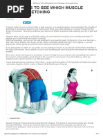 McGill Big 3 Core Exercises | PDF | Musculoskeletal System