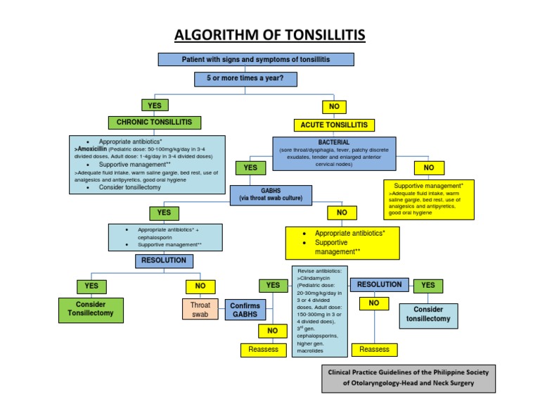Algorithm of Tonsillitis | PDF