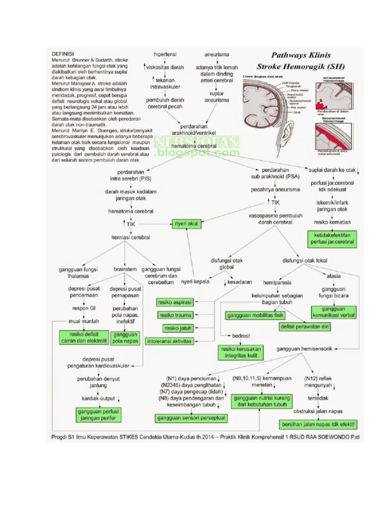 Woc Stroke Hemoragik | PDF