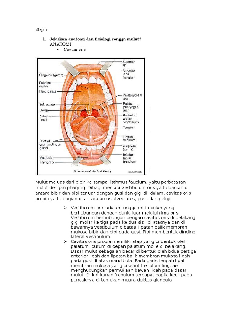 Step 7 LBM 1 Modul GIT | PDF