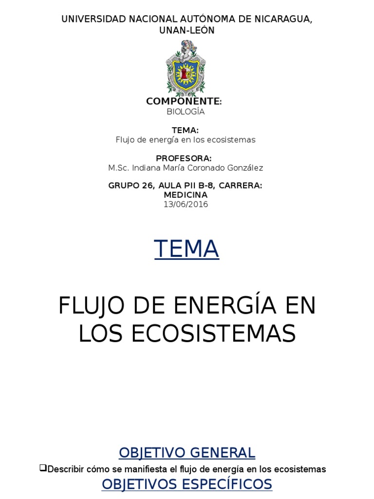 Flujo de Energía en Los Ecosistemas | Descargar gratis PDF | Nitrógeno ...