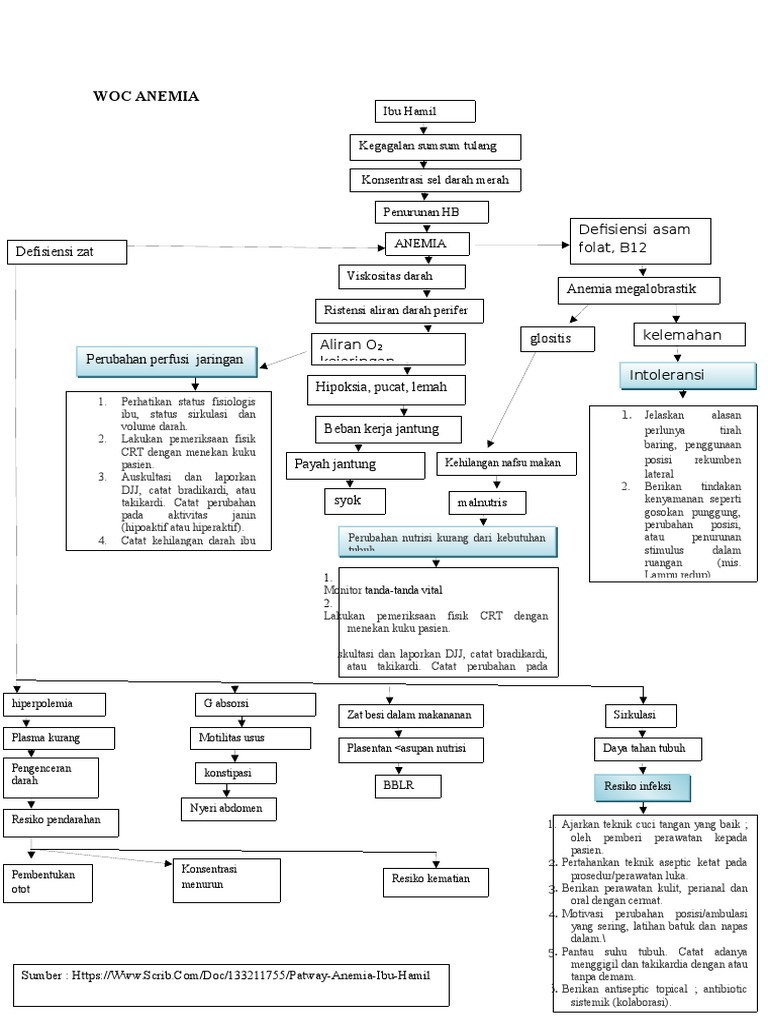 WOC ANEMIA Acc | PDF