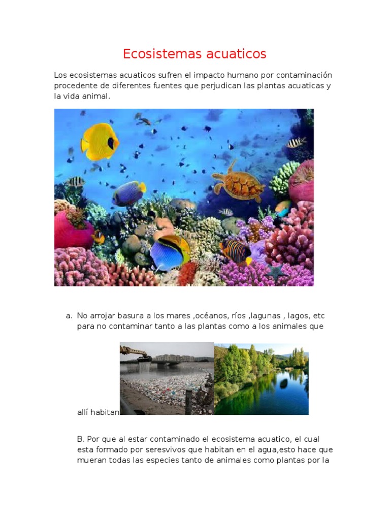 Impacto Humano en Ecosistemas Acuáticos | PDF | Ecosistema | Desierto
