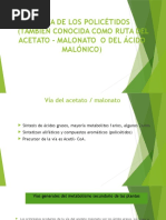 Monoterpenos: Estructura y Ejemplos | PDF | Compuestos orgánicos | Química