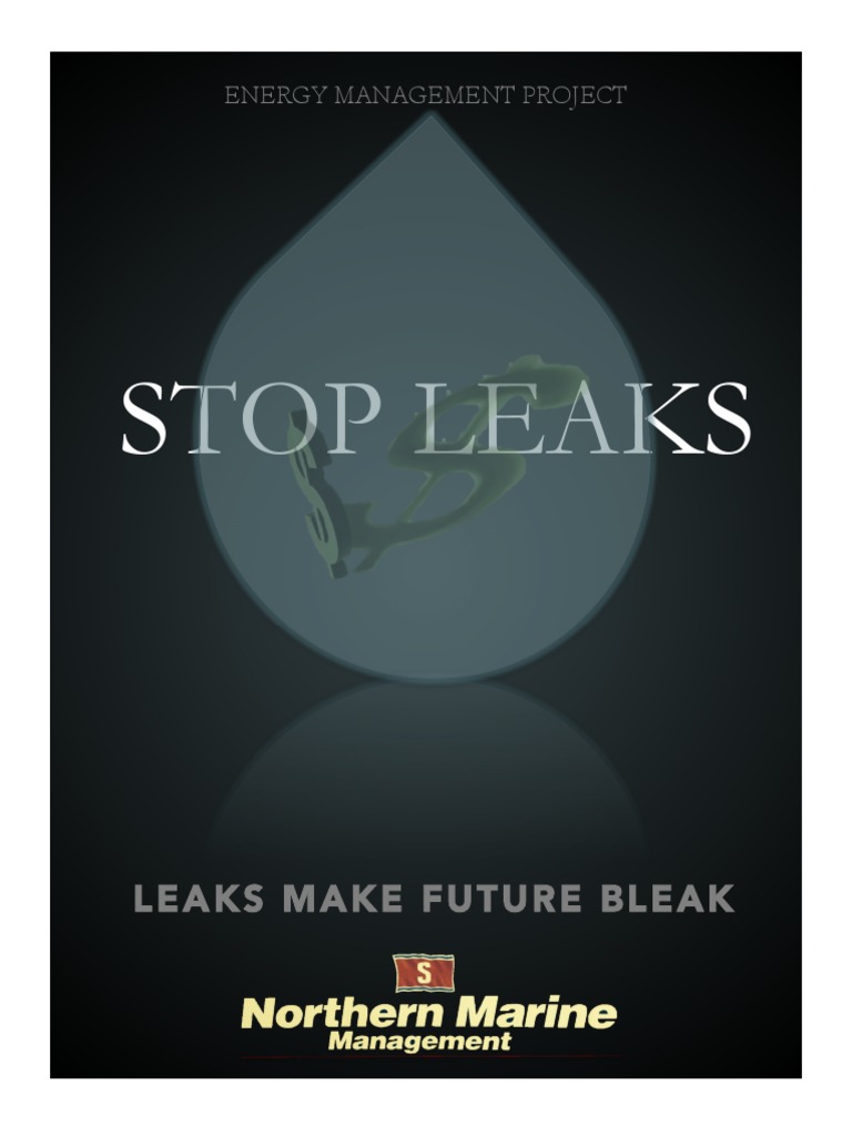 Poster Energy Management Project | PDF