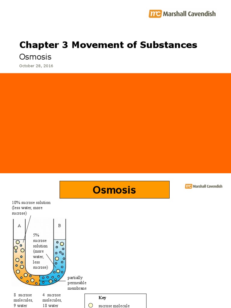 Chapter 3 Movement of Substances: Osmosis | PDF