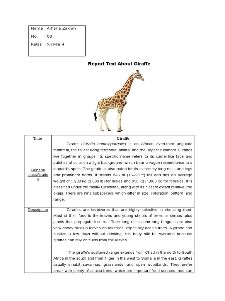 Report Text About Giraffe | PDF