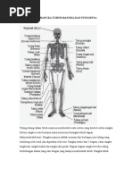Anatomi Rangka Aksial Dan Apendikular | PDF