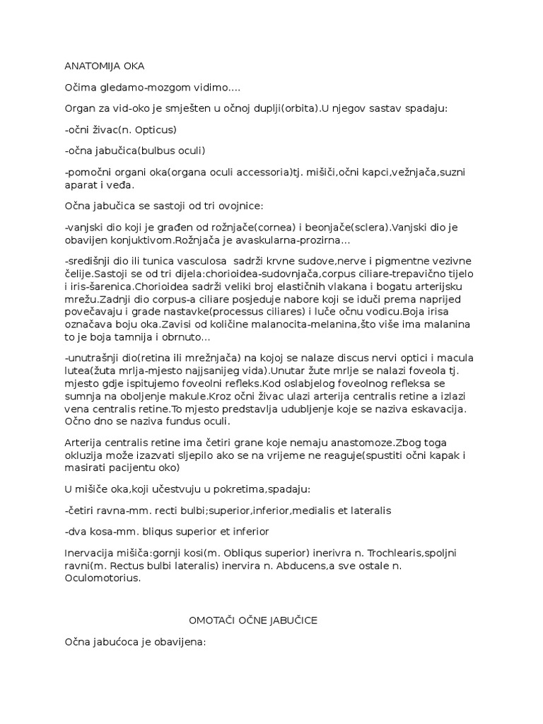 Anatomija Oka | PDF