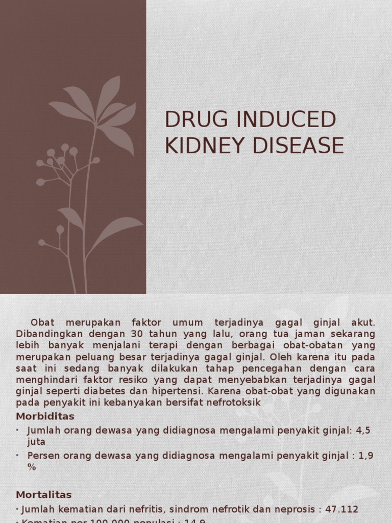 Drug Induced Kidney Disease | PDF