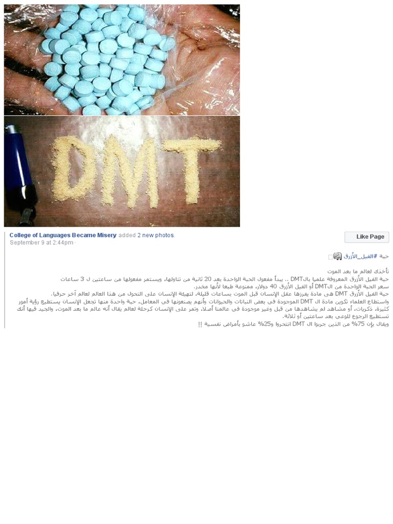 DMT: The Blue Elephant Pill's Effects | PDF