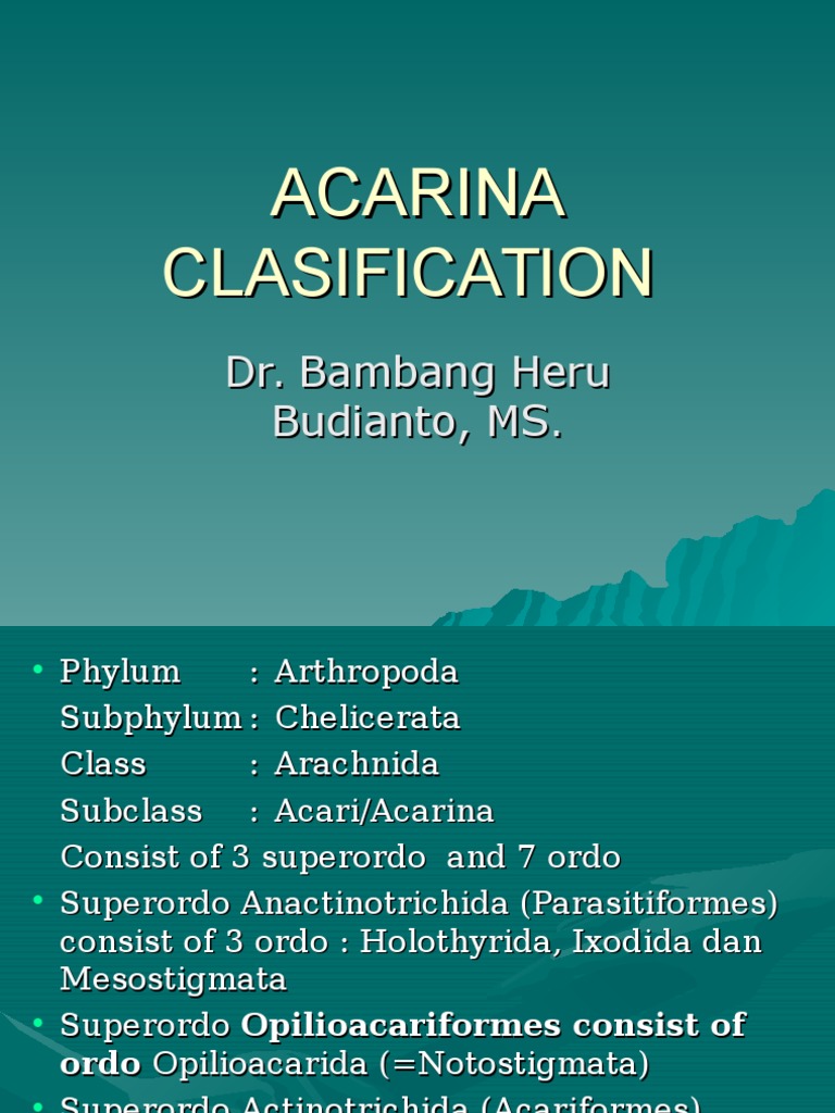 Acarina Clasification | PDF