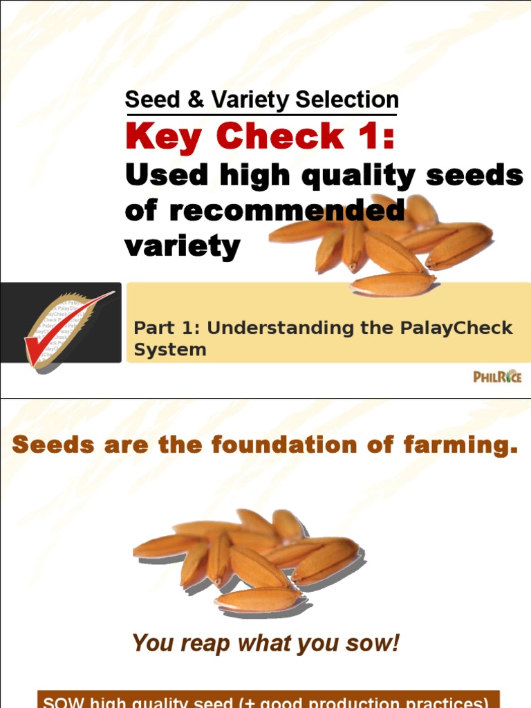 Seed Quality and Variety Selection Guide | PDF | Seed | Germination