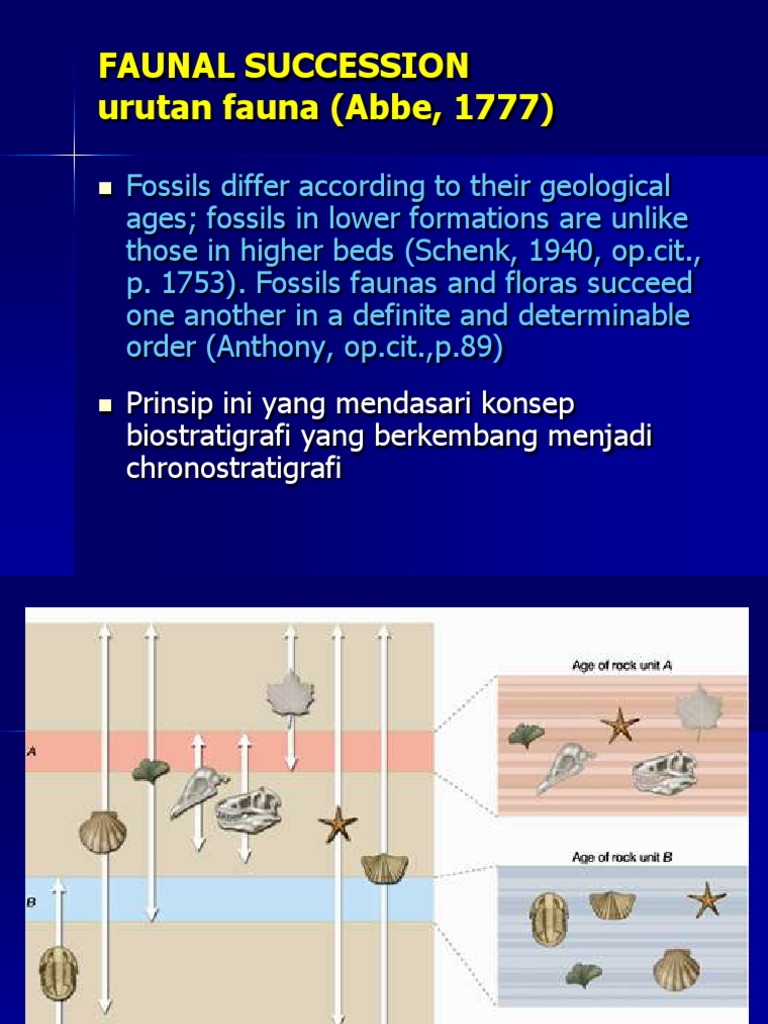 Understanding Faunal Succession Principles | PDF | Social Science