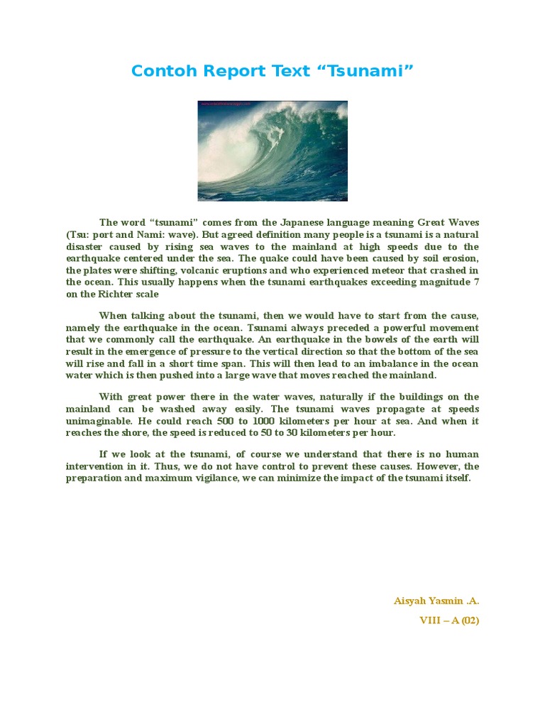 Report on Tsunami Phenomena | PDF