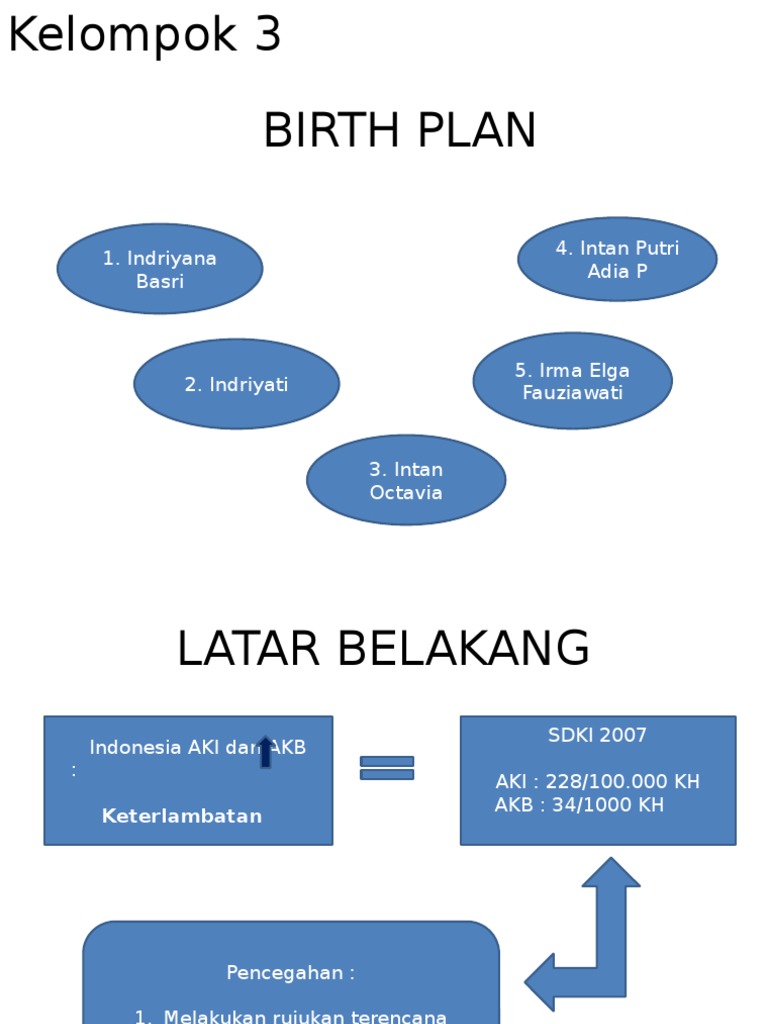 Birth Plan | PDF