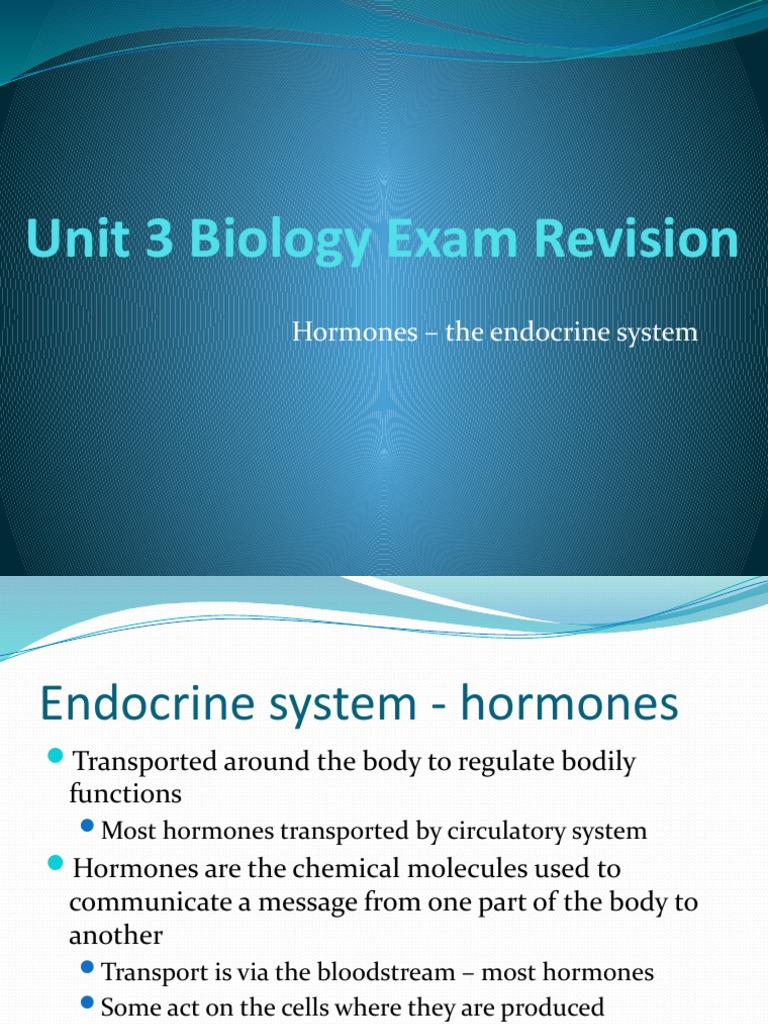 Unit 3 Biology Exam Revision: Hormones - The Endocrine System | PDF ...